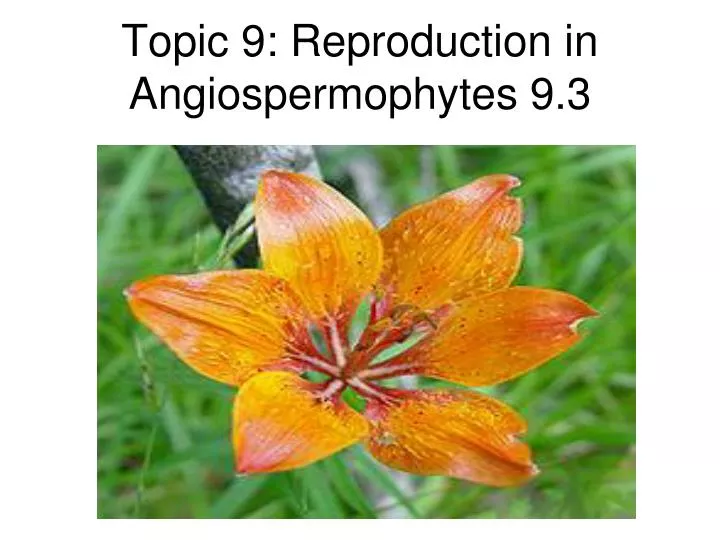 PPT - Topic 9: Reproduction in Angiospermophytes 9.3 PowerPoint ...