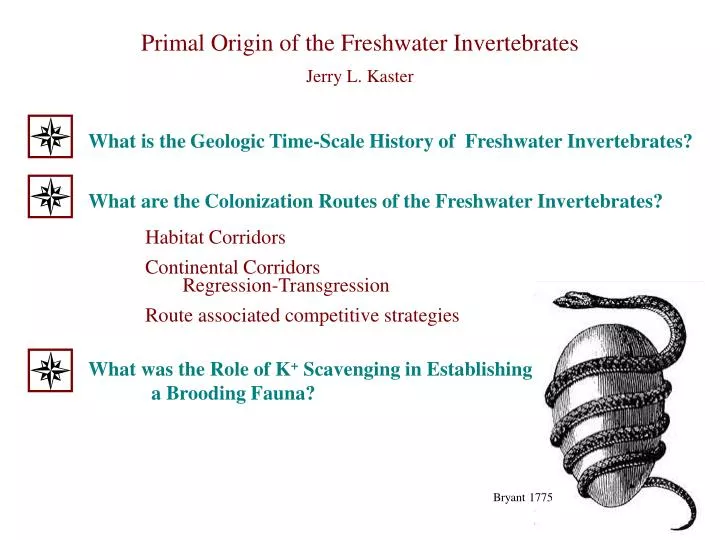 PPT - Primal Origin of the Freshwater Invertebrates PowerPoint ...
