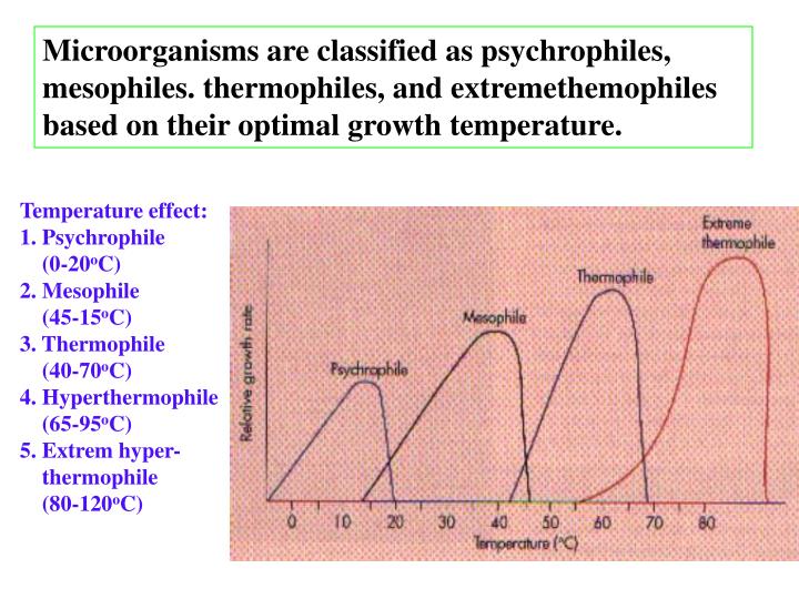PPT - Chapter4 Microbial growth PowerPoint Presentation - ID:6033378