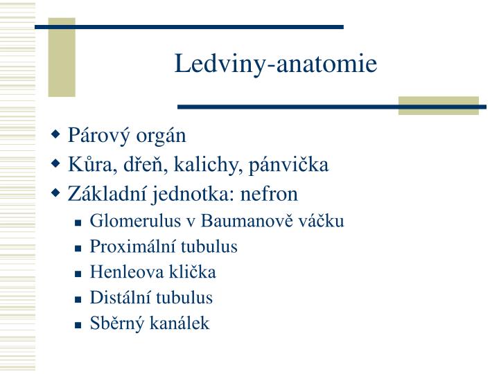 PPT - Farmakologie ledvin PowerPoint Presentation - ID:6033843
