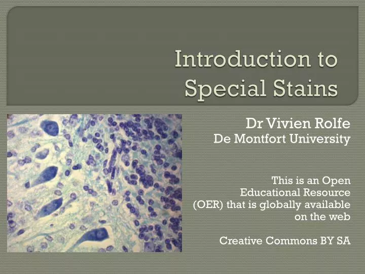 PPT - Introduction to Special Stains PowerPoint Presentation, free download - ID:6034438