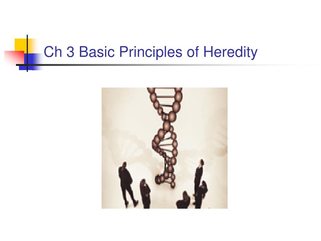 PPT - Biology 22: Genetics and Molecular Biology PowerPoint ...
