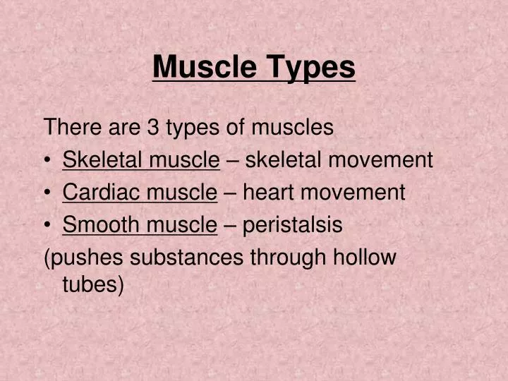 PPT - Muscle Types PowerPoint Presentation, free download - ID:6036388