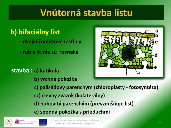 PPT - List (fylom) PowerPoint Presentation - ID:6036607