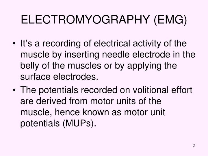 PPT - ELECTROMYOGRAPHY AND MOTOR NERVE CONDUCTION VELOCITY PowerPoint ...