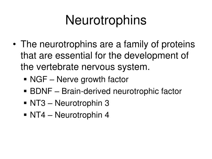 PPT - Neurotrophin Signaling (Trk Signaling Pathway) PowerPoint ...