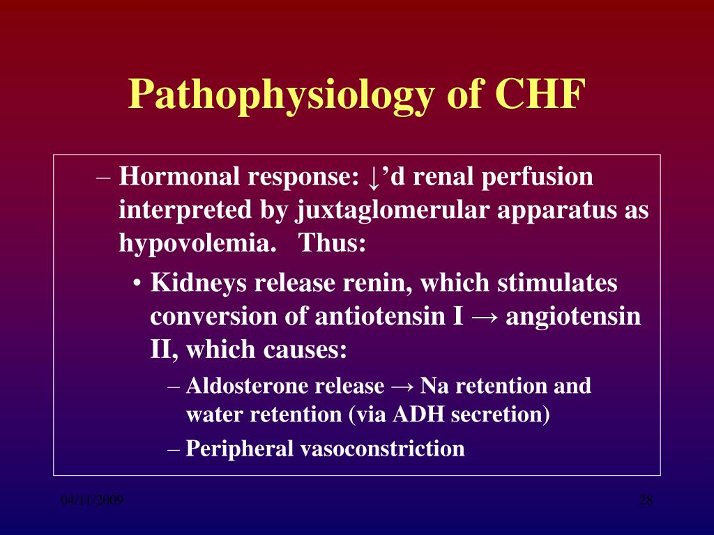 PPT - Coronary Heart Disease (CHD) PowerPoint Presentation, free ...
