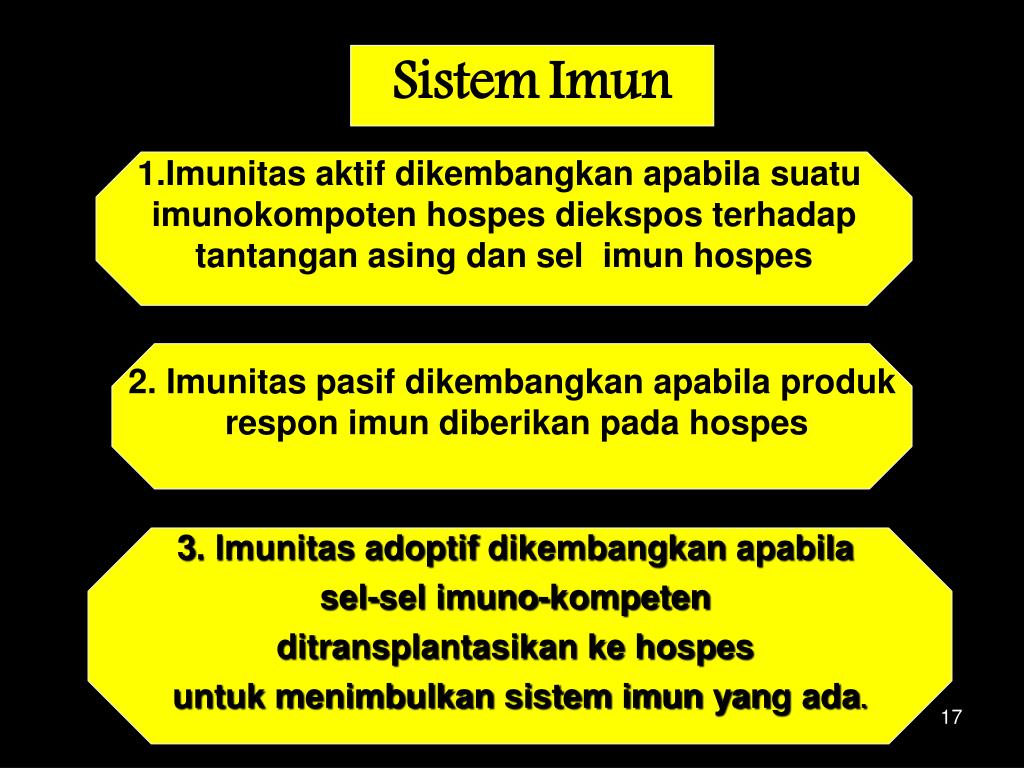 PPT - Sel-sel yang berperan dalam respon imun natural (non spesifik ...