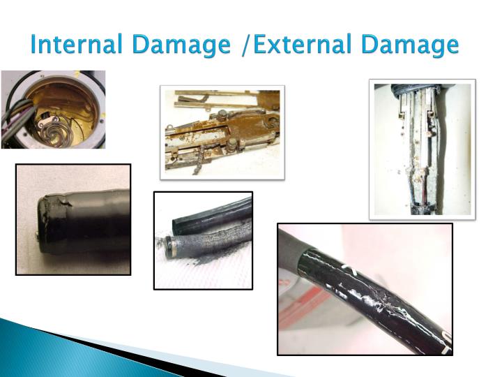 PPT - Flexible Endoscope Care, and Handling PowerPoint Presentation ...