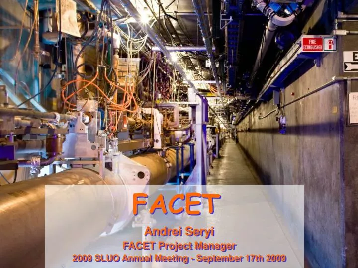 PPT - FACET PowerPoint Presentation, free download - ID:6040418