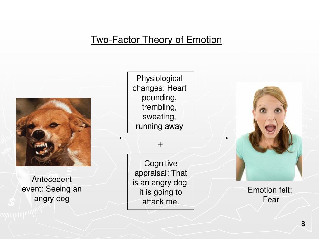 PPT - Emotions Across Cultures: Universalist vs. Cultural ...