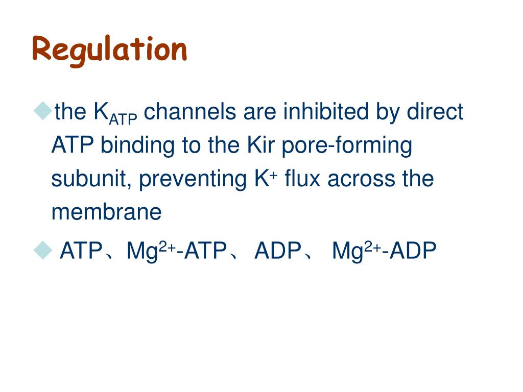 PPT - ATP Sensitive Potassium Channel Guo Wei Zhejiang University ...