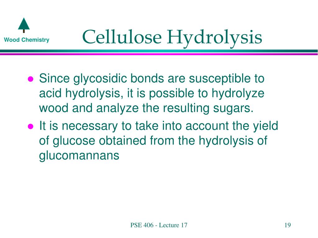 PPT - Wood Chemistry PSE 406/Chem E 470 PowerPoint Presentation, free ...