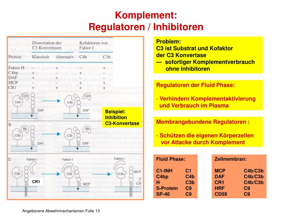 PPT - Angeborene / „Unspezifische“ Abwehrm PowerPoint Presentation - ID ...