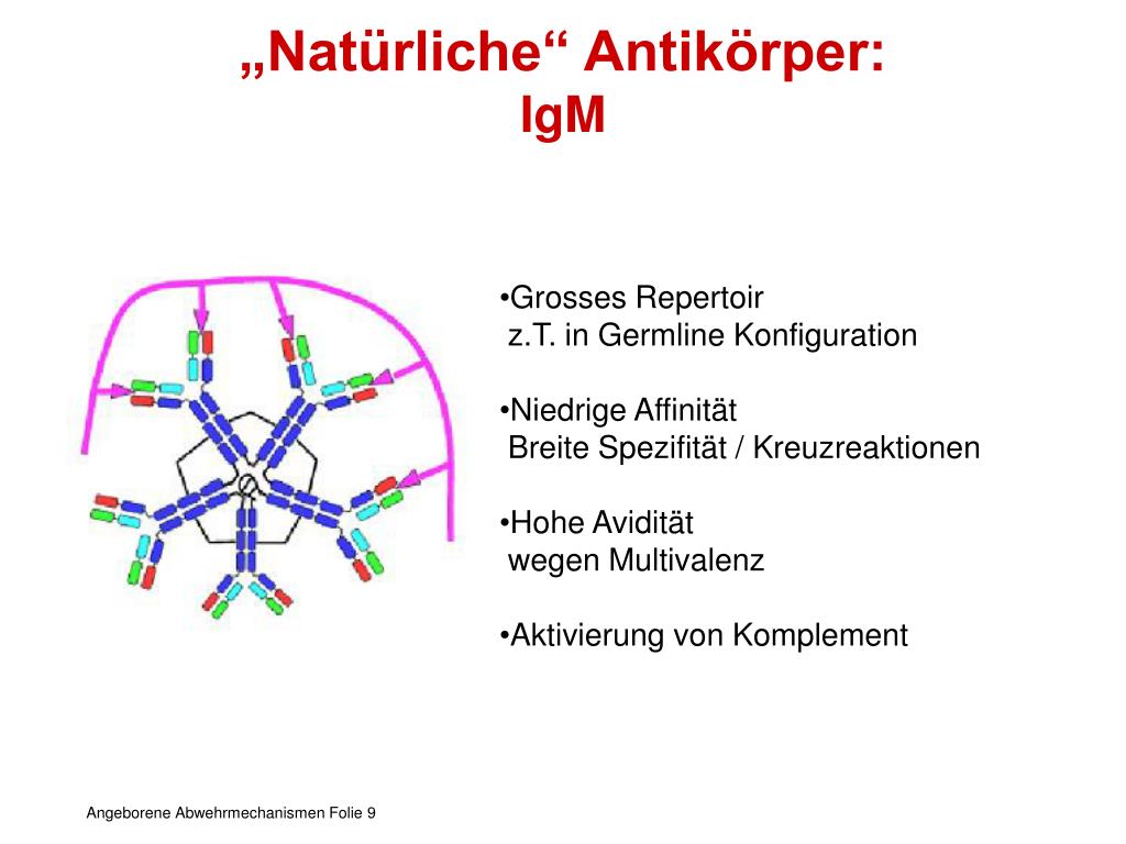 PPT - Angeborene / „Unspezifische“ Abwehrm PowerPoint Presentation - ID ...