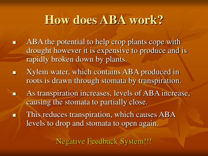 PPT - Homeostasis in Plants PowerPoint Presentation - ID:6045211