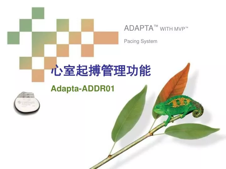 PPT - ADAPTA ™ WITH MVP ™ Pacing System PowerPoint Presentation, free ...