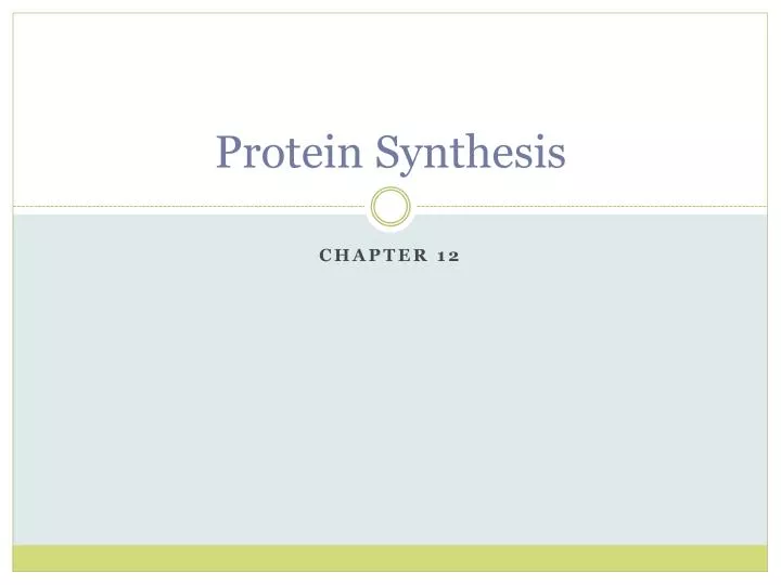 PPT - Protein Synthesis PowerPoint Presentation, free download - ID:6046517