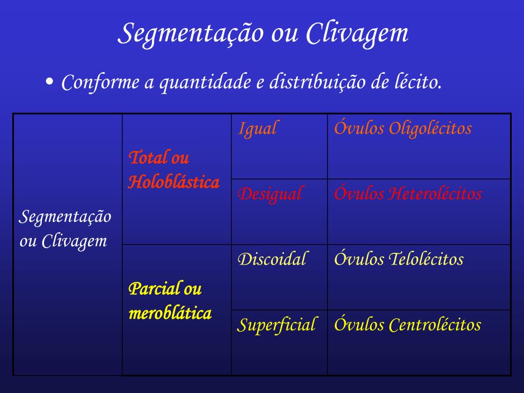 PPT - Embriologia : estudo do desenvolvimento do embrião até a formação ...