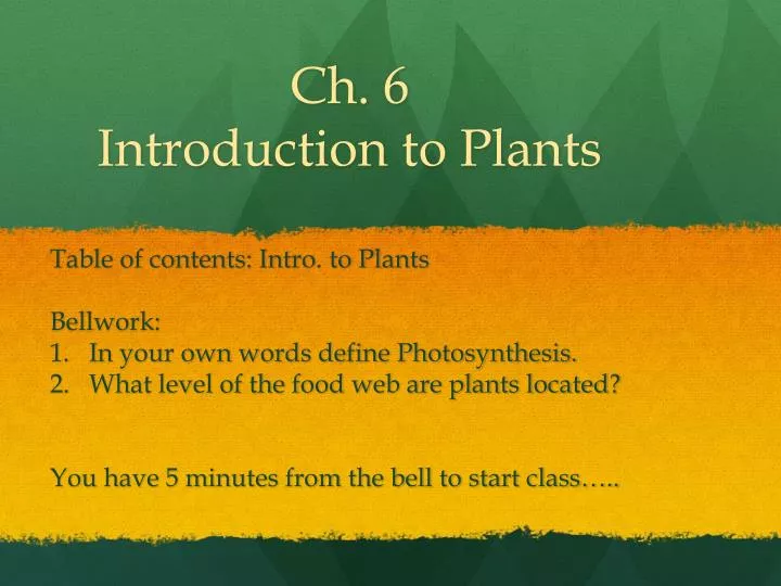 PPT - Ch. 6 Introduction to Plants PowerPoint Presentation, free ...