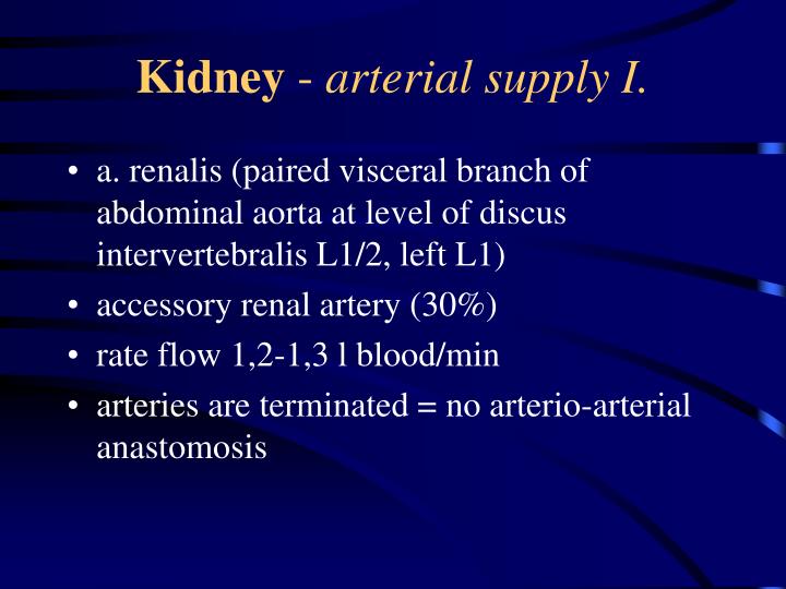 PPT - Urinary system Systema urinarium PowerPoint Presentation - ID:6049043