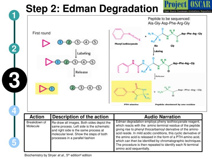 PPT - Bioinformatics and Protein Database Concepts PowerPoint ...