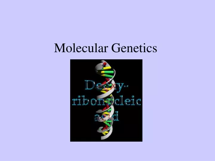 PPT - Molecular Genetics PowerPoint Presentation, free download - ID ...