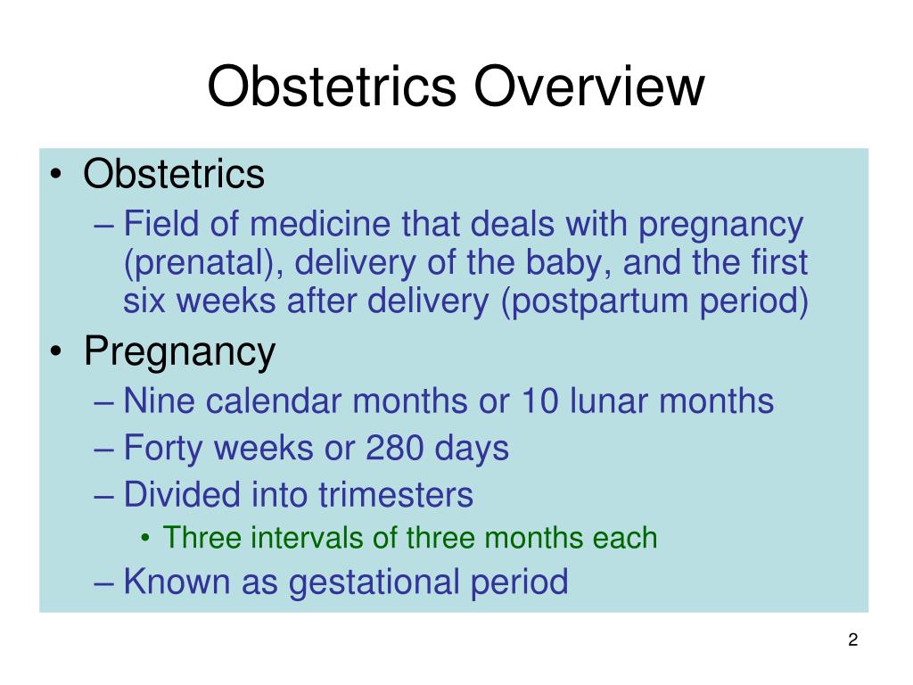 PPT - Organization of obstetric care. Physiological duration of ...