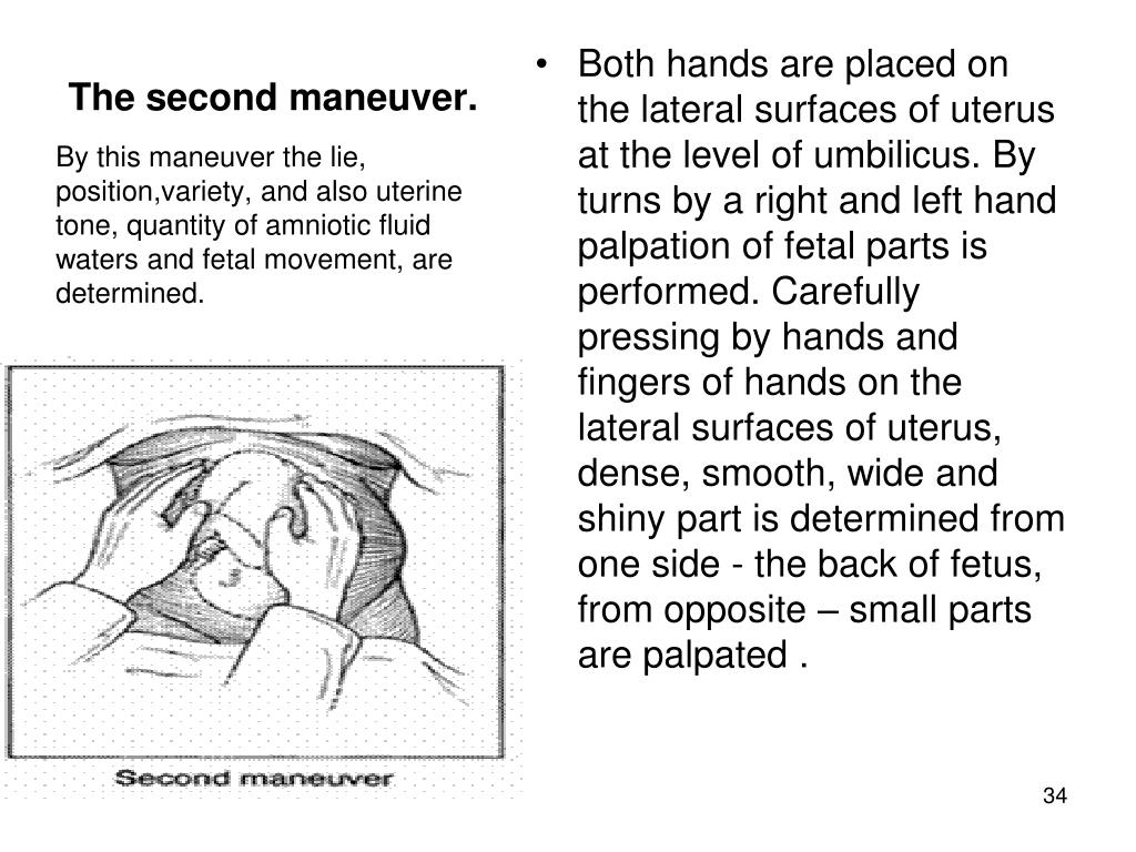 PPT - Organization of obstetric care. Physiological duration of ...