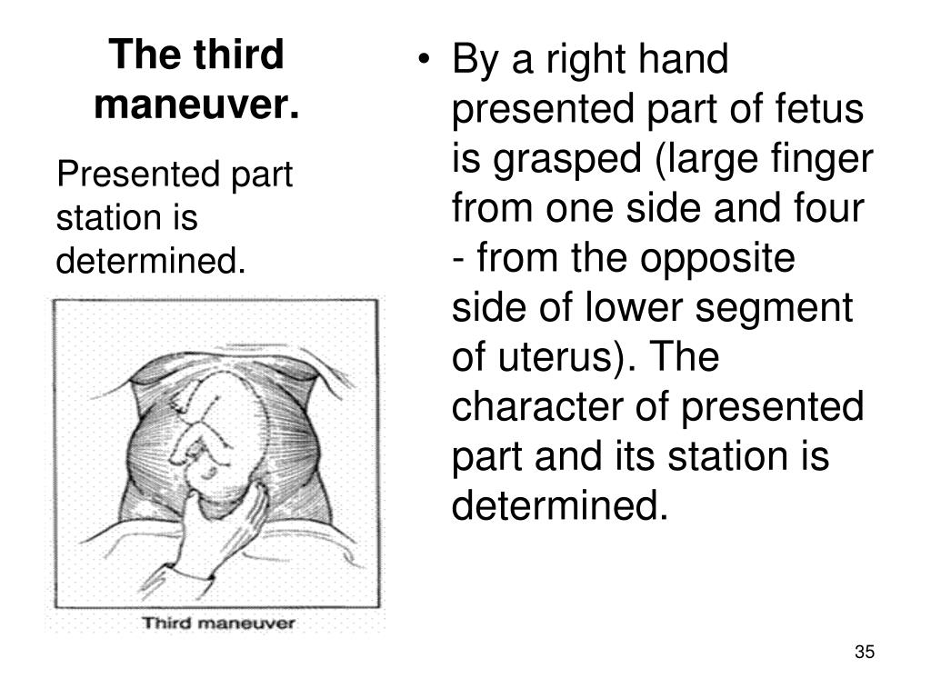 PPT - Organization of obstetric care. Physiological duration of ...