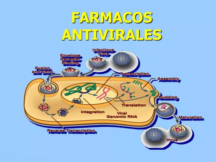 PPT - FARMACOS ANTIVIRALES PowerPoint Presentation, free download - ID ...
