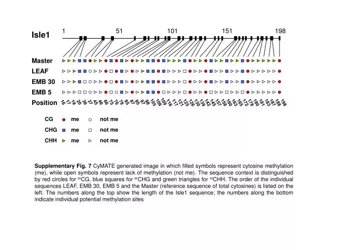PPT - Master LEAF EMB 30 EMB 5 Position PowerPoint Presentation, free ...