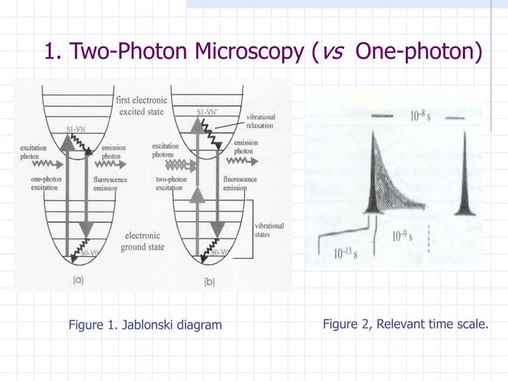 PPT - Confocal & Two-photon Microscopy PowerPoint Presentation - ID:6051952