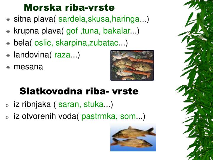 PPT - RIBE I PROIZVODI OD RIBE PowerPoint Presentation - ID:6052336