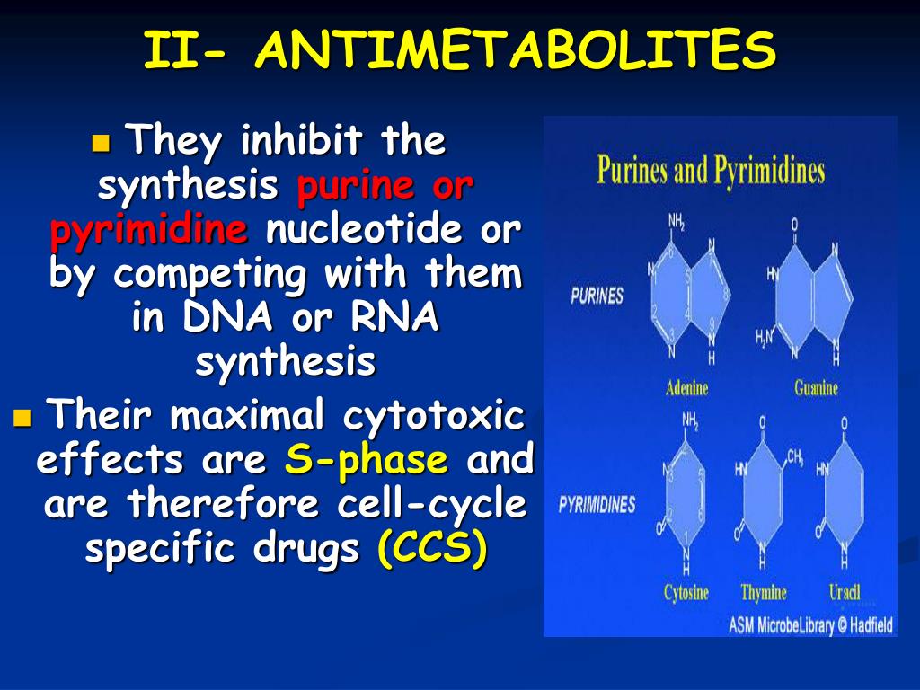 PPT - II- Antimetabolites PowerPoint Presentation, free download - ID ...