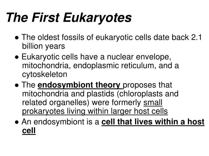 PPT - NOTES: CH 25 - The History of Life on Earth PowerPoint ...