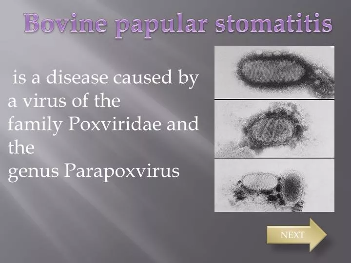 PPT - is a disease caused by a virus of the family Poxviridae and the ...
