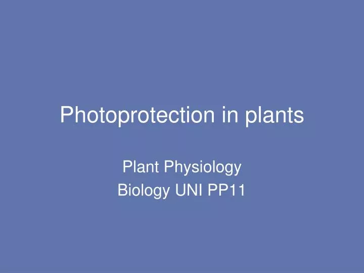 PPT - Photoprotection in plants PowerPoint Presentation, free download ...