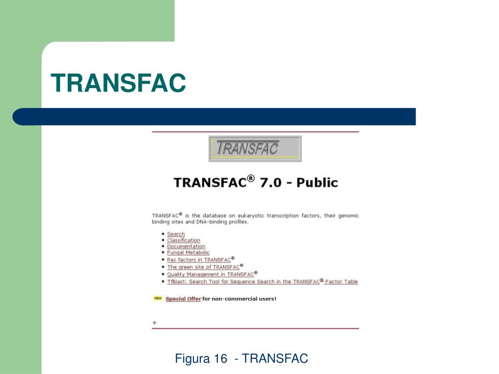 PPT - Identificação de elementos regulatórios usando Genômica ...