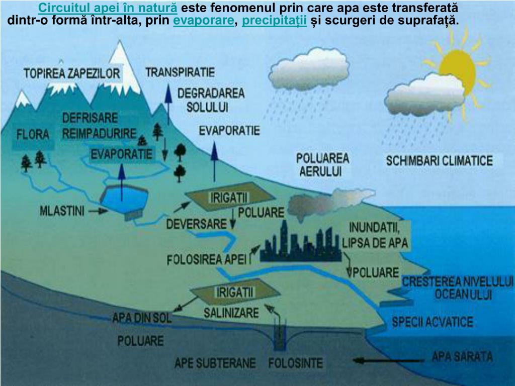 PPT - Resurse naturale şi fenomene meteo PowerPoint Presentation, free ...