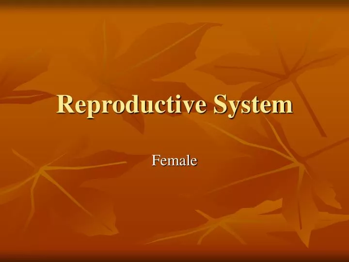 PPT - Reproductive System PowerPoint Presentation, free download - ID ...