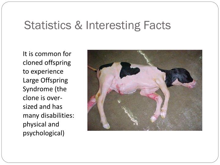 PPT - The Social and Ethical Issues of Cloning PowerPoint Presentation ...