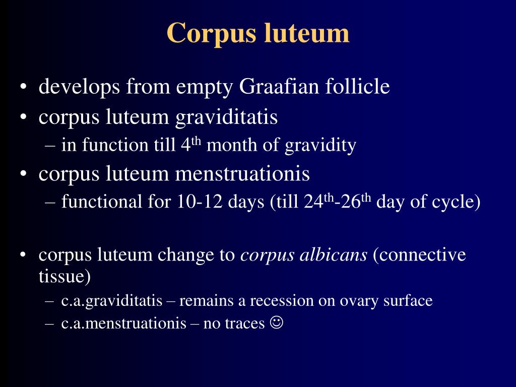PPT - Systema genitale femininum Female genital system PowerPoint ...