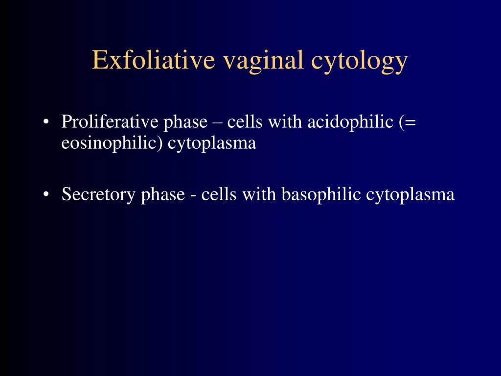 Ppt Systema Genitale Femininum Female Genital System Powerpoint