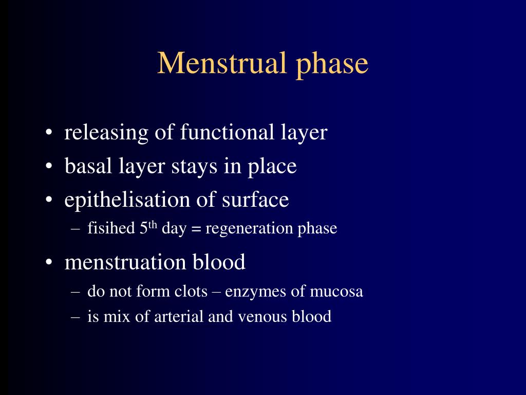 PPT - Systema genitale femininum Female genital system PowerPoint ...