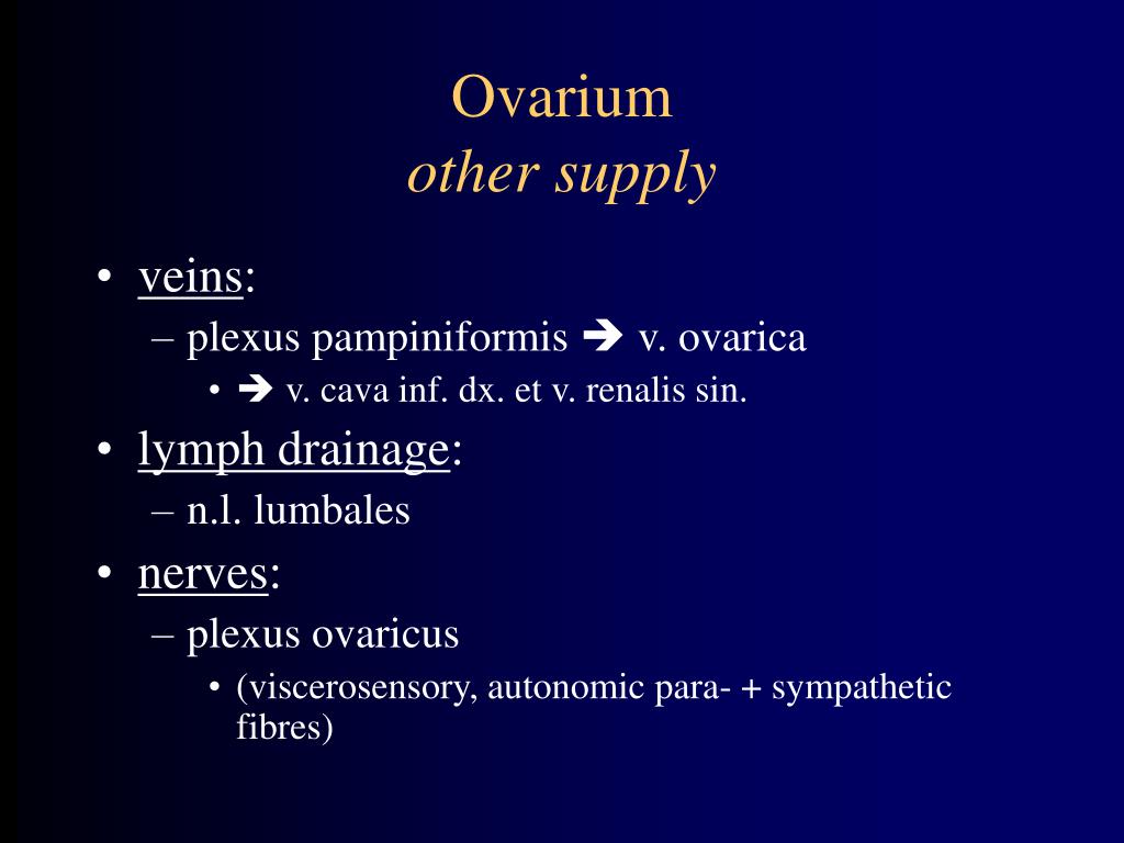 PPT - Systema genitale femininum Female genital system PowerPoint ...