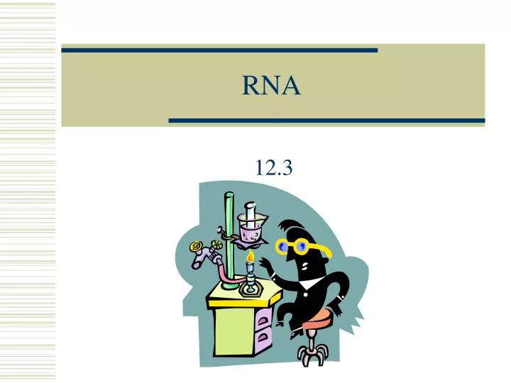 PPT - RNA PowerPoint Presentation, free download - ID:6059803