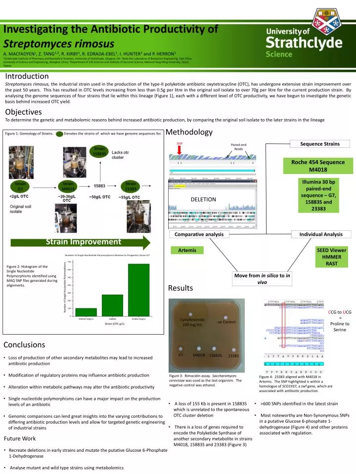PPT - Investigating the Antibiotic Productivity of Streptomyces rimosus ...