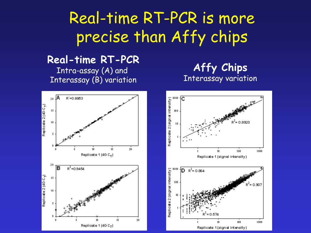 PPT - A reverse-genetic screen for N-regulators PowerPoint Presentation ... PPT - A reverse-genetic screen for N-regulators PowerPoint Presentation ...