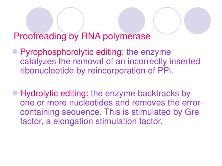 PPT - Chapter 12: Mechanisms of Transcription PowerPoint Presentation ...